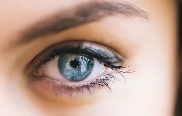 Wallpaper eyes, reflection, Selfie in your eye images for desktop ...