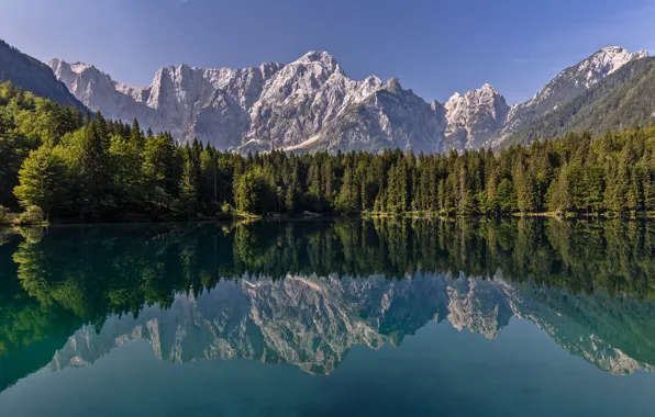 Download wallpaper forest, trees, mountains, lake, reflection, CA ...