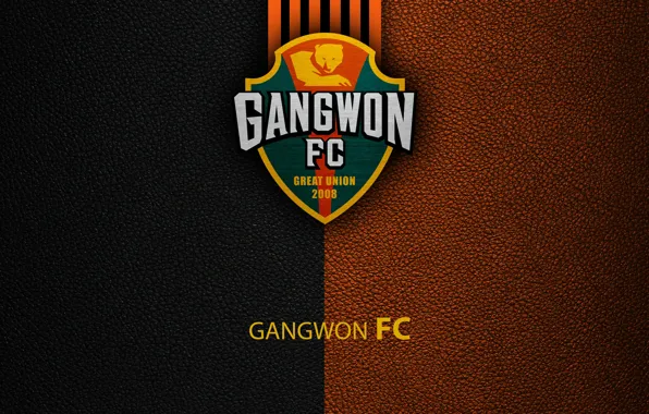 Wallpaper wallpaper, sport, logo, football, Gangwon for mobile and ...