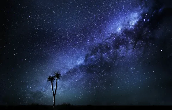 Download wallpaper Space, Way, Milky, section space in resolution 2560x1600