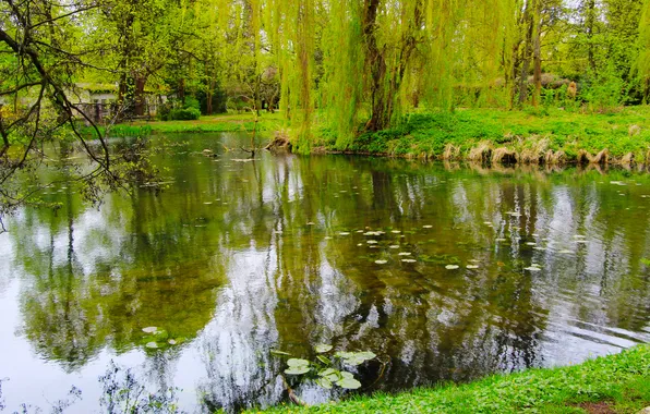 Wallpaper water, park, lake, spring, pond for mobile and desktop ...