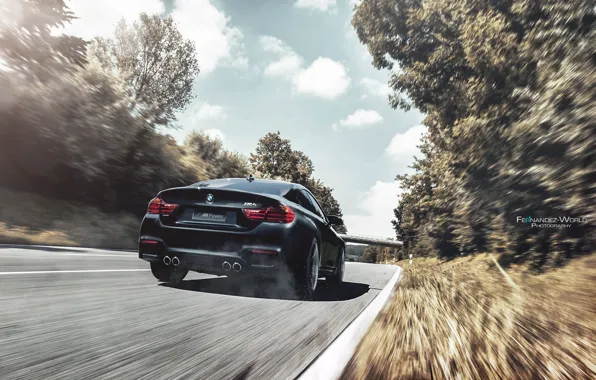 Wallpaper BMW, German, Car, Auto, Speed, Black, Rear for mobile and ...