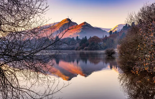 Wallpaper mountains, branches, nature, lake, mountain for mobile and ...