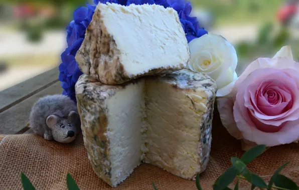 Wallpaper flower, rose, cheese for mobile and desktop, section еда ...