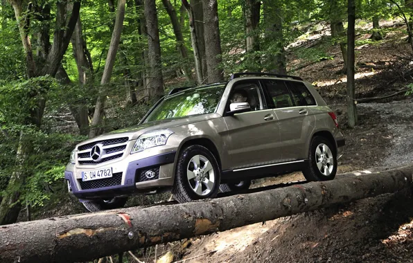 Wallpaper mercedes-benz, 4matic, cdi, off-road, glk320 images for ...