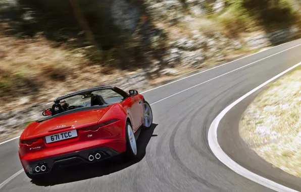 Wallpaper movement, Jaguar, red, convertible, red, rear view, jaguar, f ...