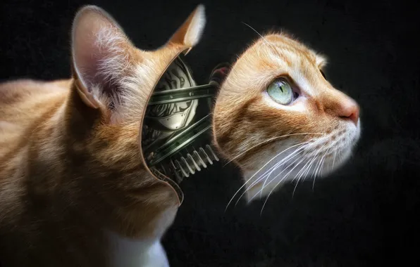 Download wallpaper cat, mechanism, robot, section rendering in ...
