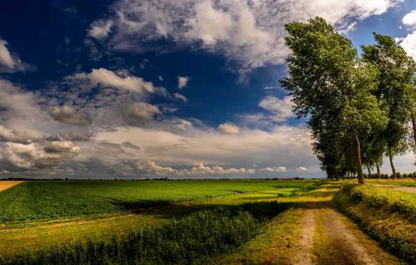 Wallpaper road, field, summer, nature for mobile and desktop, section ...