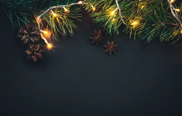 Wallpaper branches, the dark background, new year, texture, lights ...