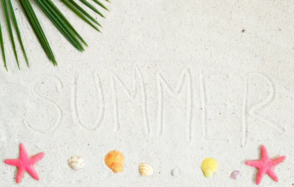 Wallpaper sand, beach, background, star, shell, summer, beach, sand for ...