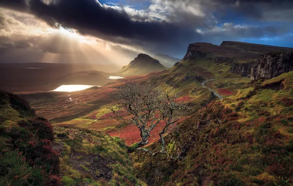 Download wallpaper mountains, nature, morning, section landscapes in ...