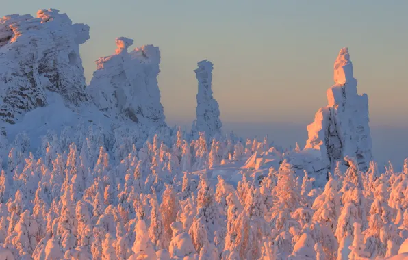 Wallpaper Zima, trees, Rocks for mobile and desktop, section природа ...