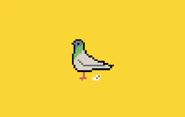 Wallpaper dove, minimalism, minimalism, Dove, litter, droppings for ...