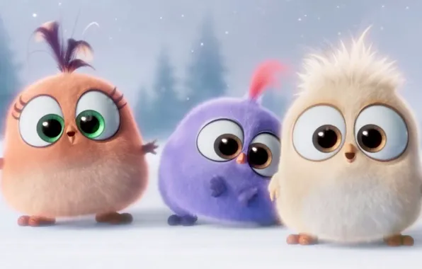 Wallpaper cinema, animation, game, blizzard, design, bird, young, eyes ...