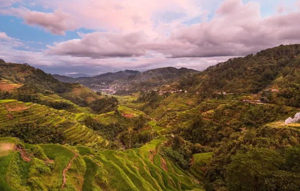 Wallpaper wallpaper, style, photo for mobile and desktop, section ...