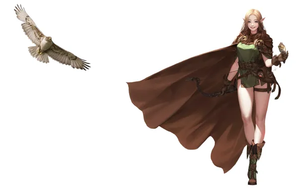 Download wallpaper bird, art, elf, cloak, Falcon, Elf, Daeho Cha ... Download wallpaper bird, art, elf, cloak, Falcon, Elf, Daeho Cha ...
