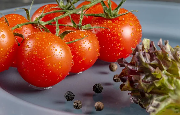 Download wallpaper table, vegetables, tomatoes, section food in ...