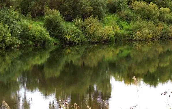 Wallpaper summer, water, reflection, river for mobile and desktop ...