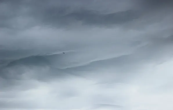 Wallpaper the sky, background, the plane for mobile and desktop ...