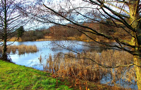 Download wallpaper water, park, lake, section landscapes in resolution ...