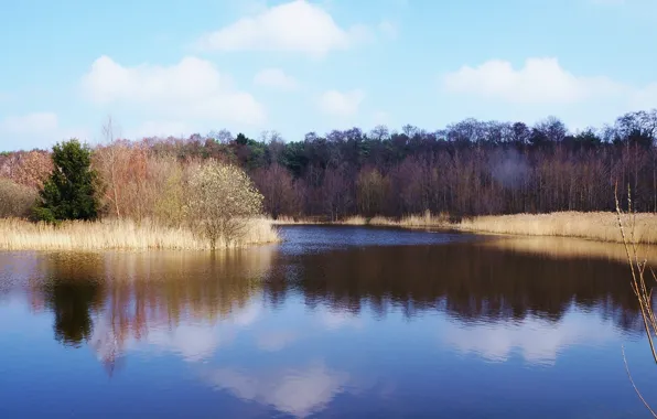 Download wallpaper water, park, lake, section landscapes in resolution ...