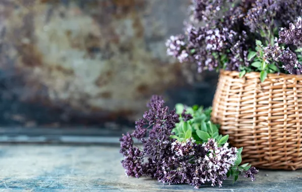 Wallpaper table, basket, bouquet, oregano, Karina Klachuk for mobile ...