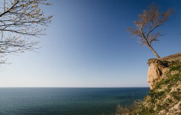 Wallpaper sea, nature, Kaliningrad for mobile and desktop, section ...