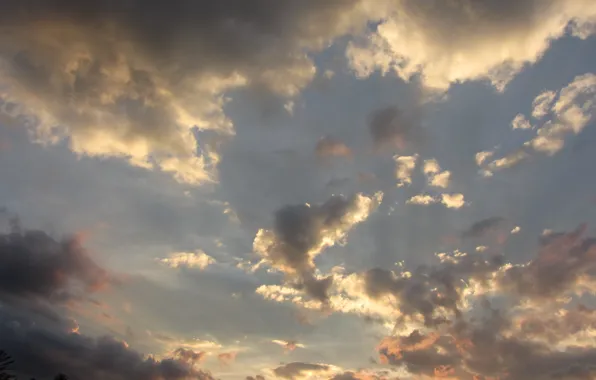 Wallpaper Sky, nature, sunset for mobile and desktop, section природа ...