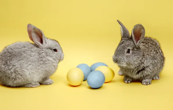 Wallpaper eggs, rabbit, Easter, pair, rabbits, yellow background ...