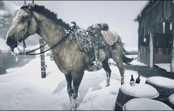 Wallpaper HDR, Winter, Snow, Game, Cold, Horse, UHD, 4K for mobile and ...