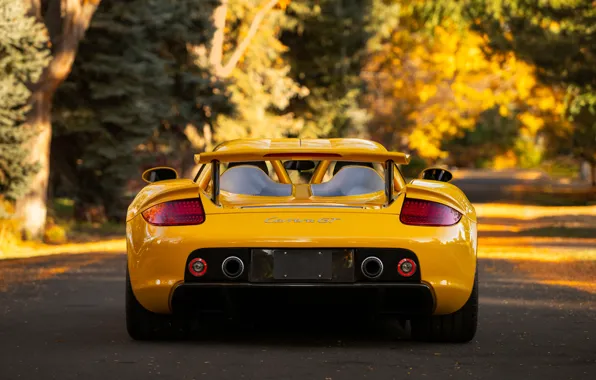 Download wallpaper Porsche, rear, Porsche Carrera GT, section porsche ...