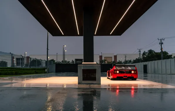 Wallpaper Ferrari, F40, rear view, Ferrari F40 LM by Michelotto for ...