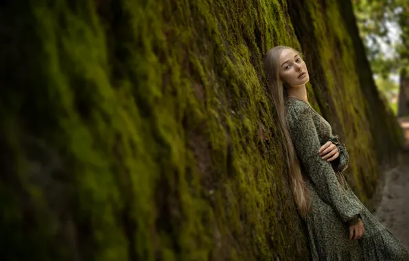 Wallpaper girl, nature, moss, dress, Andrew Brandis, Andrey Brandis for ...