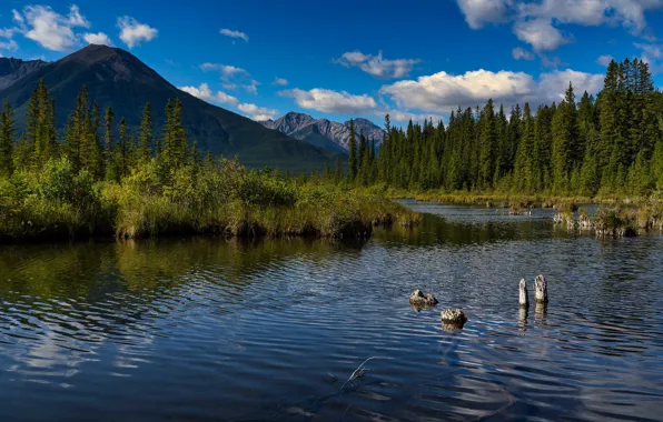 Download wallpaper forest, mountains, nature, lake, shore, Canada ...