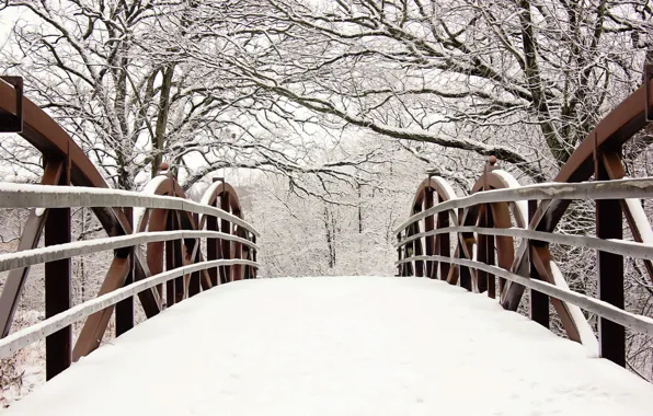 Wallpaper winter, snow, trees, branches, bridge, nature, fence for ...