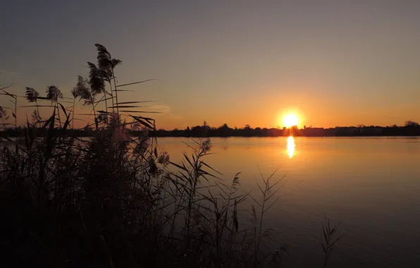 Wallpaper sunset, nature, river, the evening for mobile and desktop ...