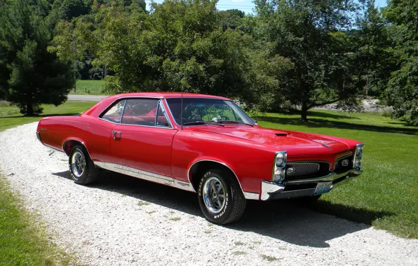 Wallpaper red, Pontiac, GTO, 1967 images for desktop, section другие ...