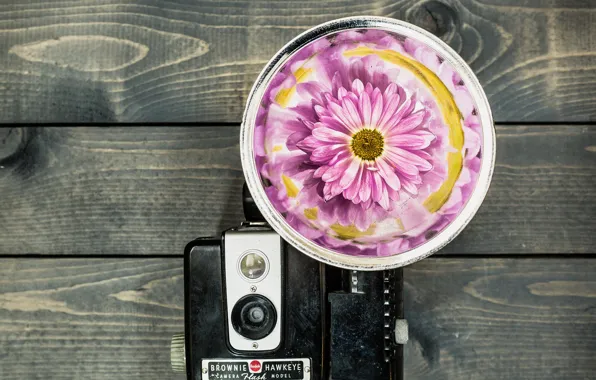 Download wallpaper blossom, camera, Kodak, section hi-tech in ...