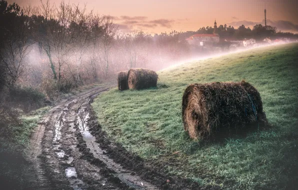 Download wallpaper road, fog, morning, hay, section nature in ...