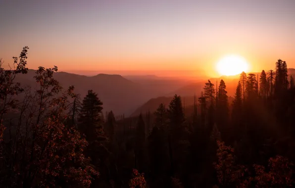Download wallpaper forest, the sky, the sun, sunset, mountains, fog ...