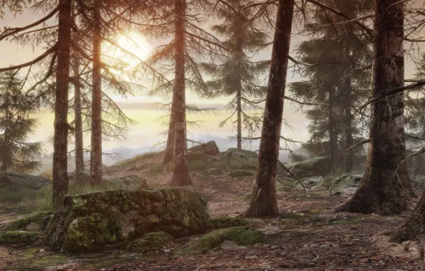 Wallpaper game, forest, Nintendo, Syberia 3, Syberia, Benoît Sokal ...