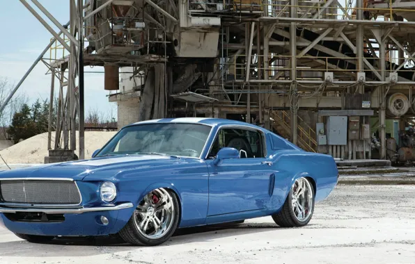 Custom American Muscle Cars Wallpaper