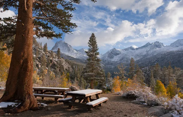 Wallpaper snow, trees, mountains, nature, the sky. clouds for mobile ...
