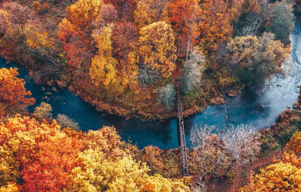 Download wallpaper autumn, Park, river, section nature in resolution ...