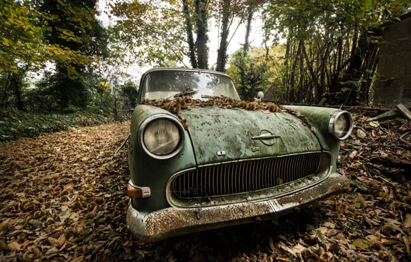 Wallpaper machine, leaves, scrap for mobile and desktop, section opel ...