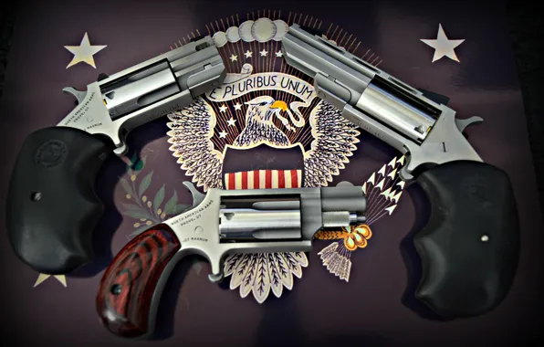 Download wallpaper Black widow 22 LR, PUG 22 mag, Mini Mag 22/22 mag ...