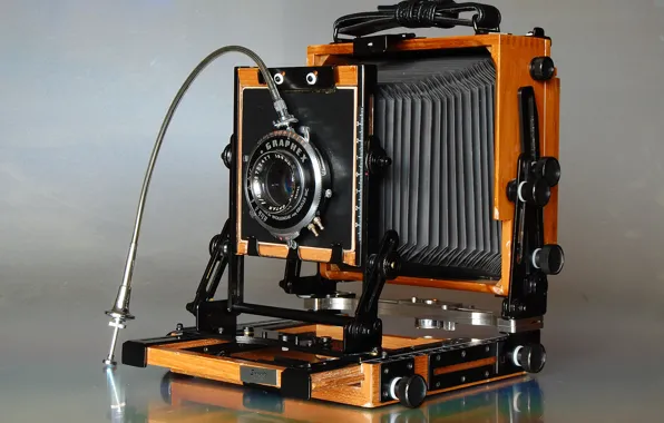 Wallpaper macro, camera, Sunfoto - SF45-TAKE for mobile and desktop ...