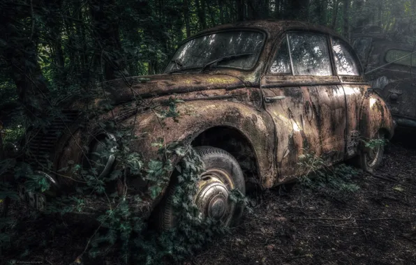 Wallpaper machine, forest, scrap for mobile and desktop, section разное ...