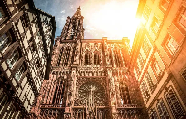 Wallpaper the sun, France, Cathedral, architecture, Strasbourg ...