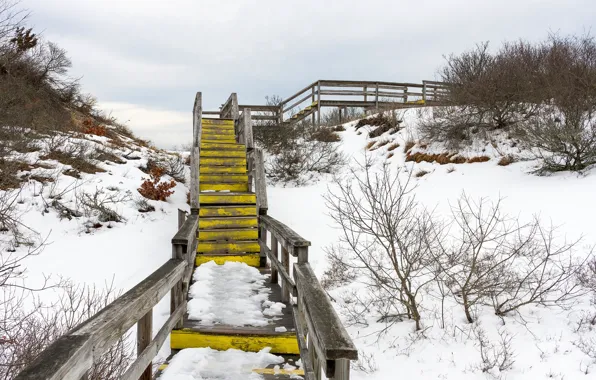 Download wallpaper winter, snow, ladder, section nature in resolution ...